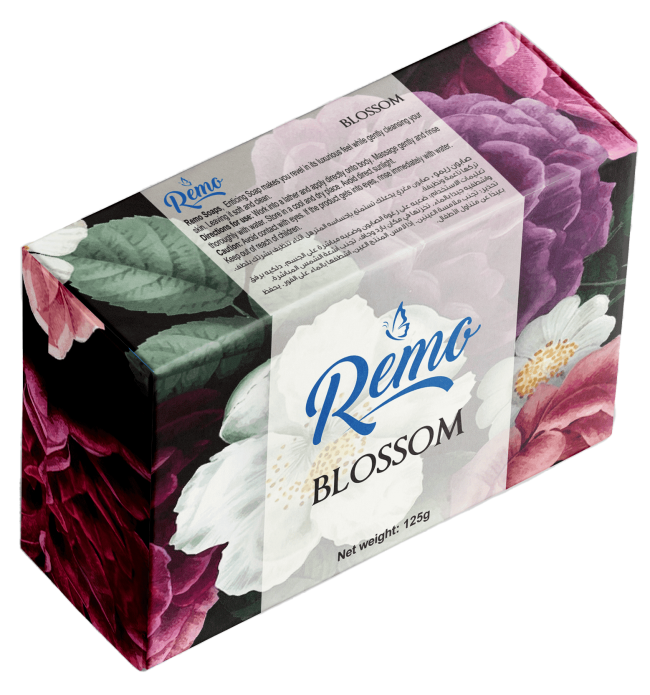 Remo – AWS DISTRIBUTION