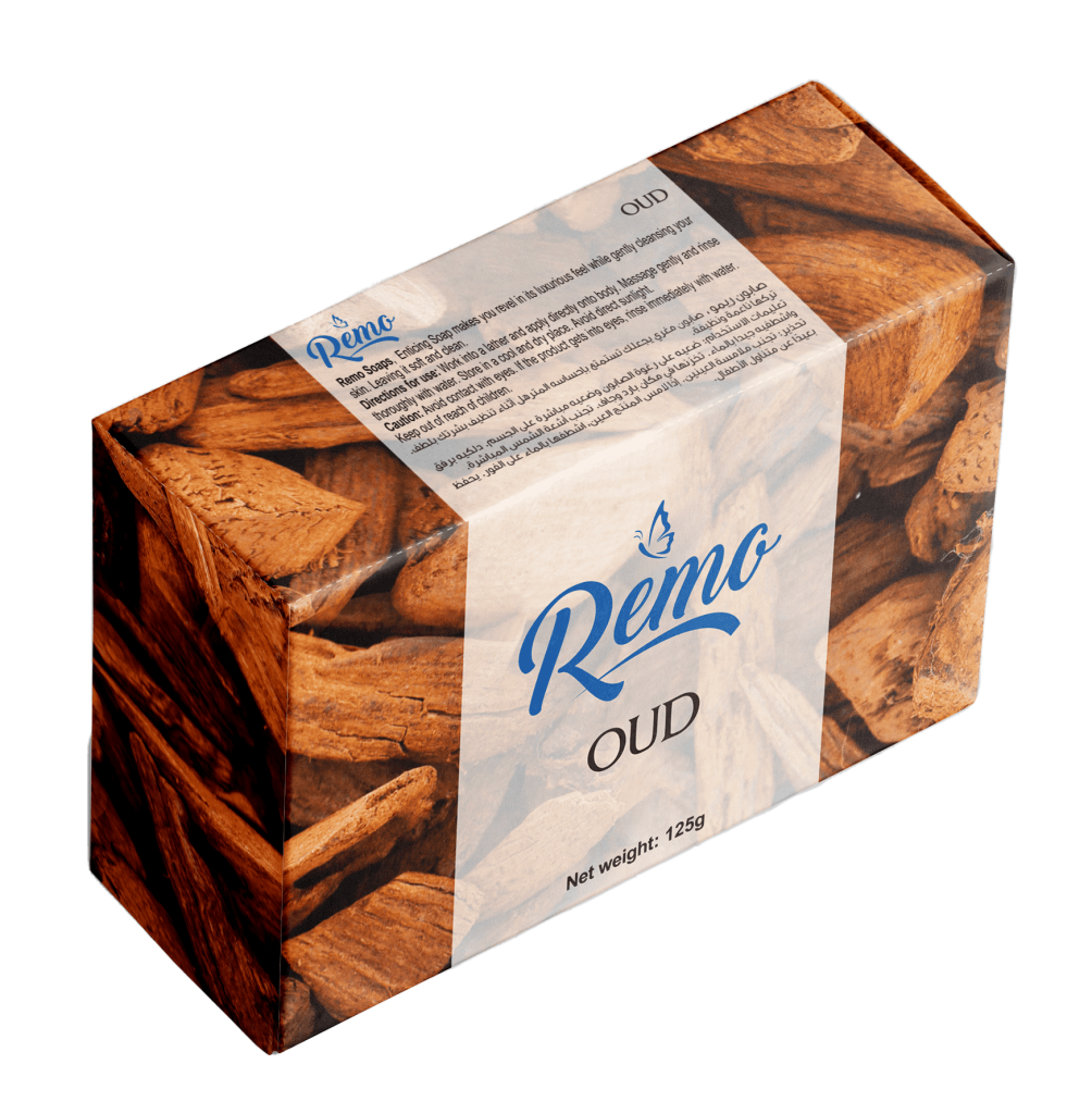 Remo – AWS DISTRIBUTION